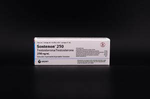 SOSTENON * SOL 250 MG X 1 JERINGA(S) PRELLENADA(S) | CefaMarket